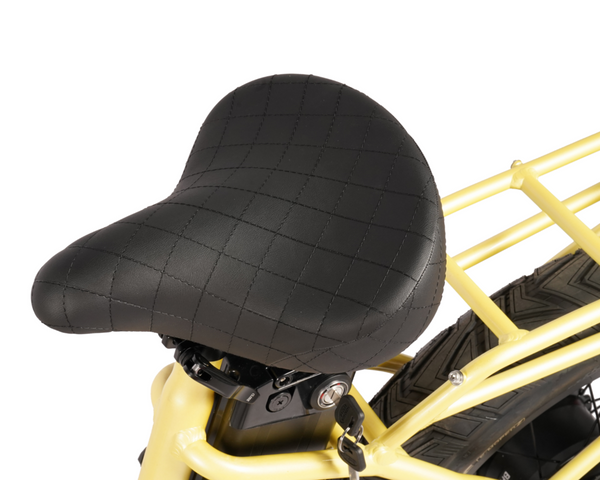 Swell Step Through - Ebikeboys PTY LTD