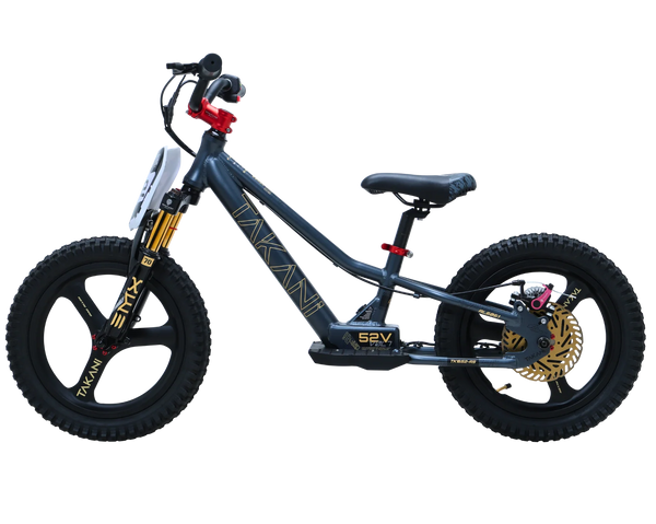 350W TAKANI Electric Balance Bike 16'' - TK1652-RS Matte Charcoal
